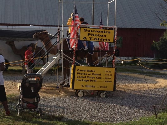 ORANGE COUNTY FAIR CONCESSION - Updated October 2025 - 13 Photos - 239 ...