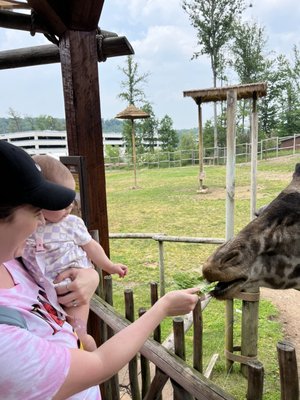 ESSEX COUNTY TURTLE BACK ZOO - Updated July 2025 - 1598 Photos & 464 ...