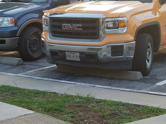 BERRETT PEST CONTROL - Updated December 2025 - 31 Photos & 169 Reviews ...