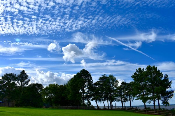 YORK RIVER STATE PARK - 133 Photos & 24 Reviews - Parks - 9801 York ...