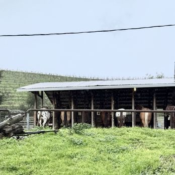 GARROD FARMS RIDING STABLES - Updated May 2026 - 221 Photos & 235 ...