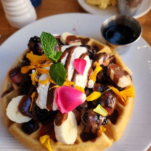 PARAKEET CAFE - 1166 Photos & 570 Reviews - 1680 India St, San Diego ...