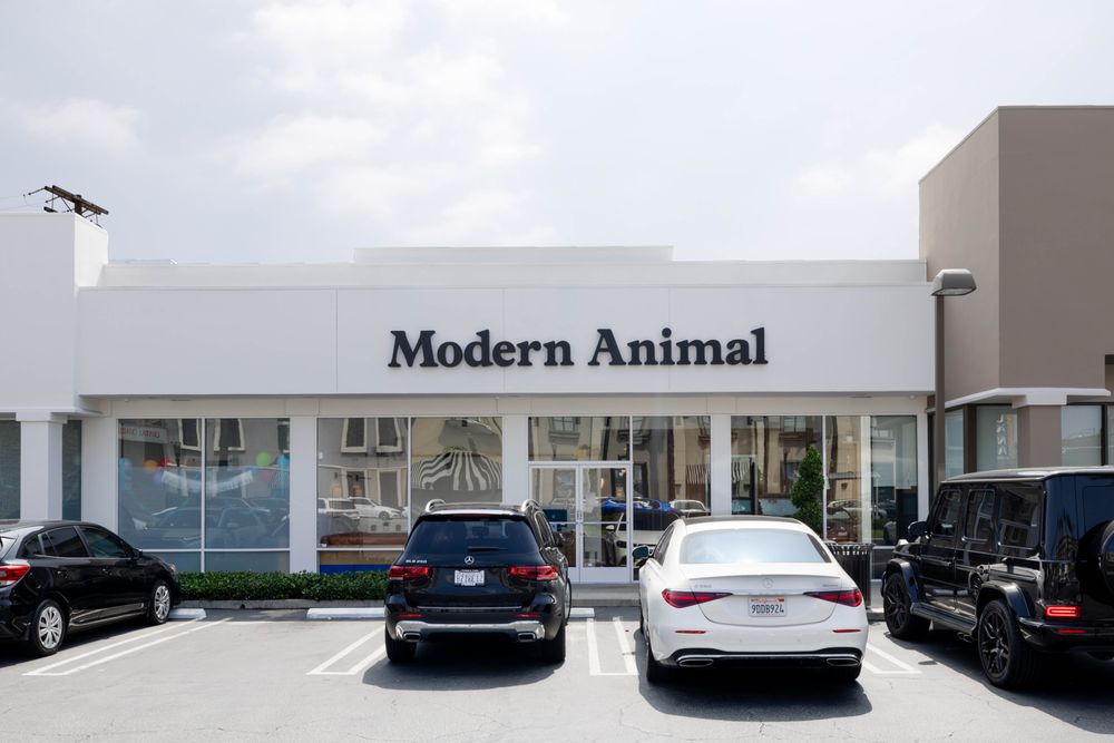 MODERN ANIMAL - Updated December 2025 - 52 Photos & 78 Reviews - 224 W ...