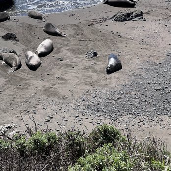 MOONSTONE LANDING - Updated June 2025 - 316 Photos & 229 Reviews - 6240 ...