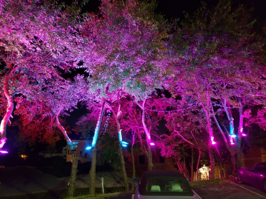 JUST ENUFF LOUNGE - 99 Photos & 27 Reviews - Strip Clubs - 149 Boro Line Rd, King of Prussia, PA ...