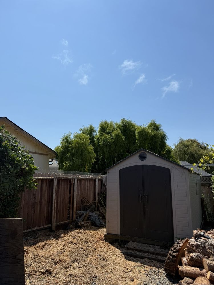 SILVERLINE TREE SERVICE - Updated January 2026 - 23 Photos & 17 Reviews ...