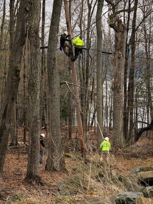 SLIC FIBER - Updated December 2025 - 12 Reviews - 3330 State Hwy 11B ...