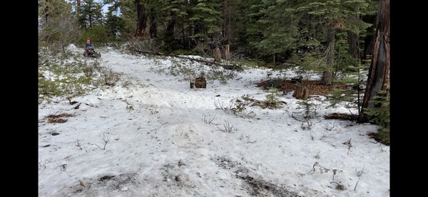 NYACK SNOW PARK - Updated December 2024 - 105 Photos & 90 Reviews ...