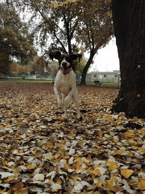 SAM COMBS PARK - Updated August 2025 - 19 Photos & 13 Reviews - 205 ...