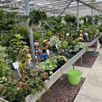 ROSE HILL NURSERIES - Updated December 2025 - 57 Photos & 25 Reviews ...