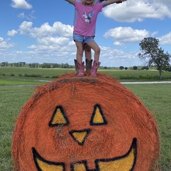 MAYHEM RANCH - Updated October 2025 - 28 Photos - 17830 SE 40th St ...