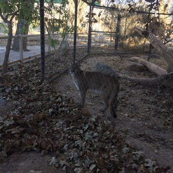 ALAMEDA PARK ZOO - Updated January 2026 - 157 Photos & 53 Reviews ...