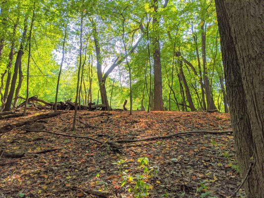 RIVERVIEW PARK - Updated October 2024 - 148 Photos & 24 Reviews - 159 ...