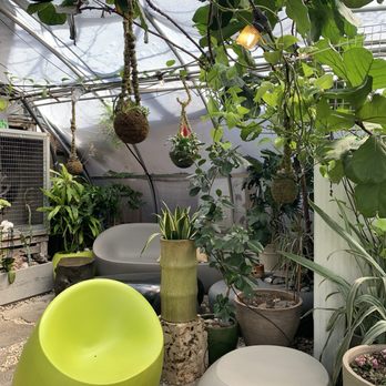 THE GREENHOUSE BAR - Updated September 2024 - 368 Photos & 309 Reviews ...