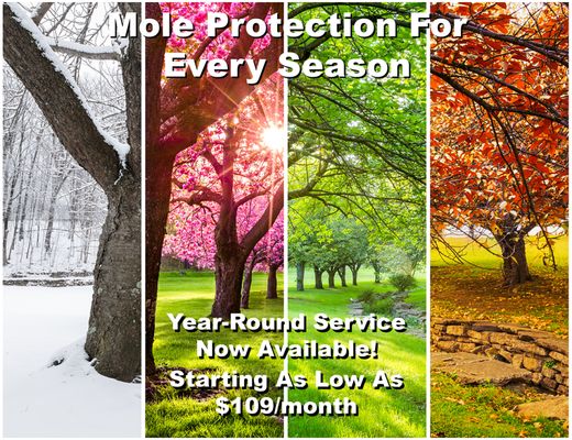 MOLE MASTERS - Updated August 2025 - 14 Photos & 41 Reviews - Milton ...