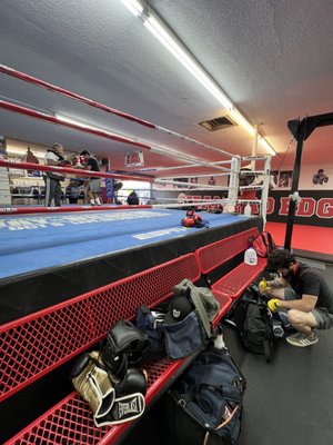 PRO EDGE BOXING, MMA & BRAZILIAN JIUJITSU - Updated December 2025 - 92 ...
