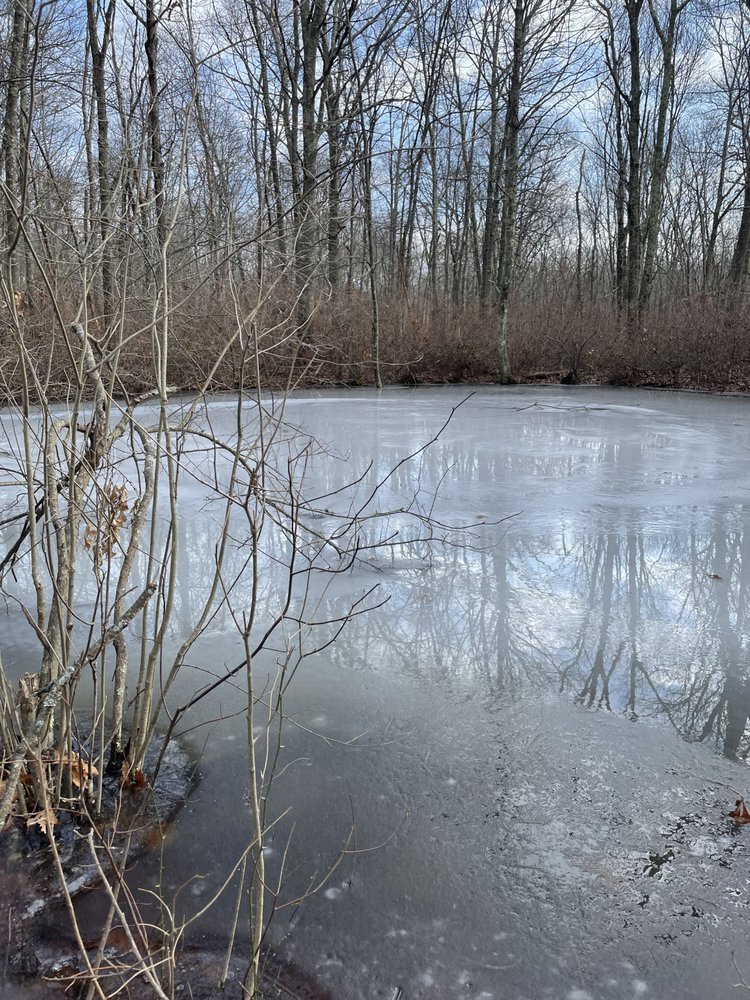 KING-BENSON PRESERVE - Updated December 2025 - 23 Photos - 2203 Boston ...