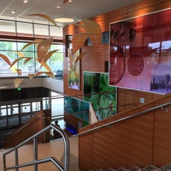 STRONG MEMORIAL HOSPITAL - 19 Photos & 74 Reviews - 601 Elmwood Ave ...