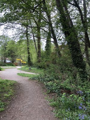 RENFREW RAVINE PARK - Updated July 2025 - 3900 Renfrew St, Vancouver ...