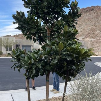 MOON VALLEY NURSERIES - Updated August 2024 - 506 Photos & 460 Reviews ...