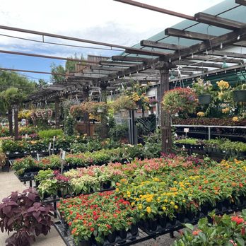 RUIBAL’S PLANTS OF TEXAS - Updated April 2026 - 337 Photos & 113 ...