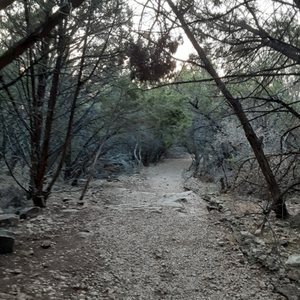 CEDAR BREAKS PARK - 155 Photos & 47 Reviews - 500 Cedar Breaks Park Rd ...