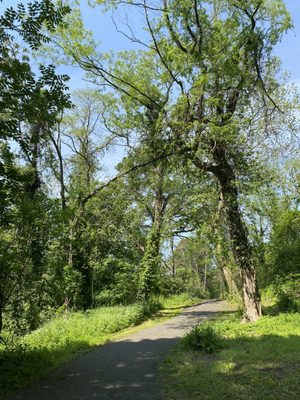 CHRISTOPHER MORLEY PARK - 48 Photos & 27 Reviews - 500 Searingtown Rd ...