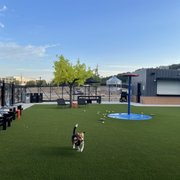 PAWS & PINTS - 64 Photos & 26 Reviews - 6218 Willowmere Dr, Des Moines ...