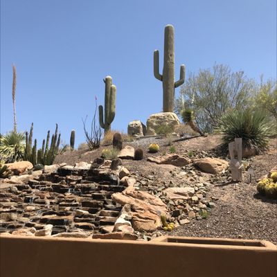 DESERT FOOTHILLS LIBRARY - Updated June 2025 - 384 Photos & 21 Reviews ...