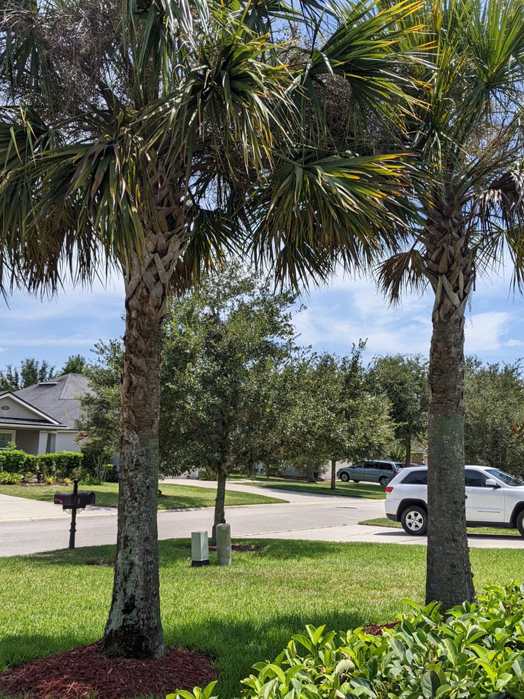 OLD TIMEY TREES - Updated September 2025 - 44 Photos & 20 Reviews ...