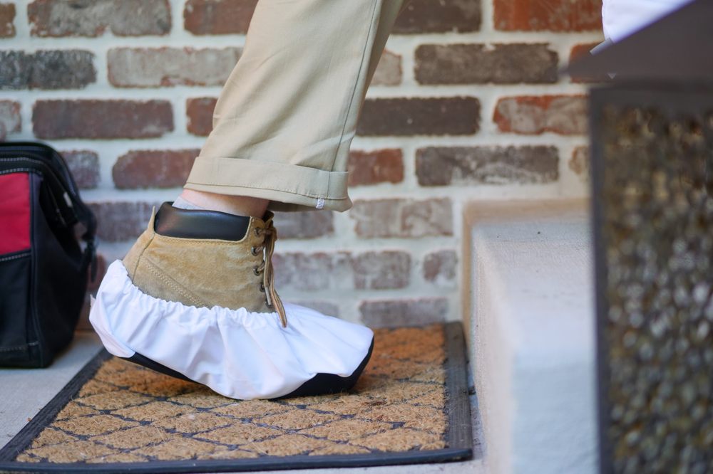 ISSAQUAH PEST CONTROL - OLYMPIA - Updated May 2024 - 11 Photos - 203 ...