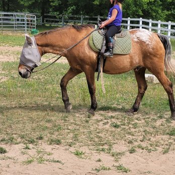 KRUMKILL STABLES - Updated September 2025 - 24 Photos & 14 Reviews ...