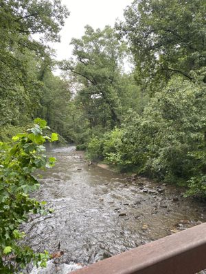 NORTH MILLS RIVER RECREATION AREA - 11 Photos - 5289 N Mills River Rd ...