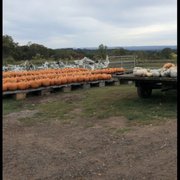 HINDINGER FARM - 39 Photos & 17 Reviews - Fruits & Veggies - 810 Dunbar ...