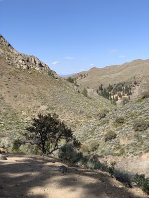 HUNTER CREEK WATERFALL TRAIL - Updated December 2025 - 388 Photos & 71 ...