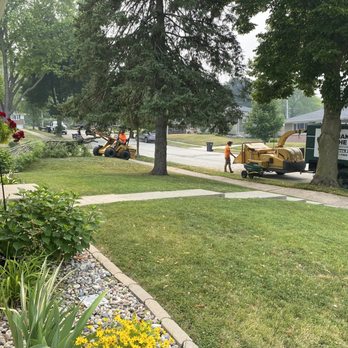 MAKING THE CUT TREE SERVICES - Updated September 2025 - 26 Photos & 10 ...