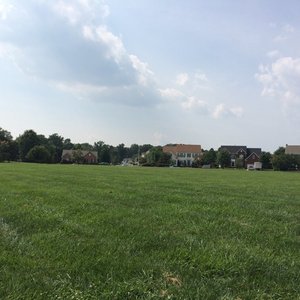 CHESTNUT SQUARE PARK - 22 Photos - Parks - 320 Chestnut Pkwy, Indian ...