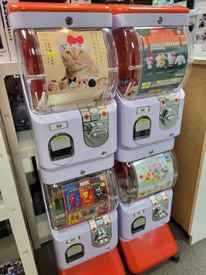 HOBBY BEE - Updated January 2025 - 10 Photos - 3735 Renfrew Street ...