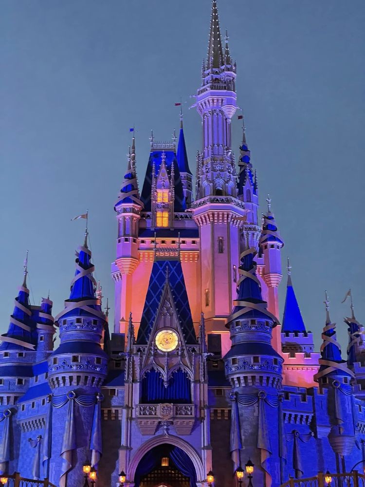 MEG AND THE MOUSE TRAVEL - Updated March 2025 - Contact Agent ...