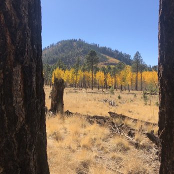 ASPEN NATURE LOOP - Updated December 2025 - 55 Photos & 18 Reviews ...