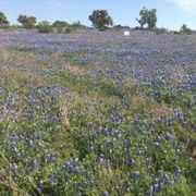 OXFORD RANCH CAMPGROUND - 18 Photos & 13 Reviews - 11380 S State Hwy 16 ...