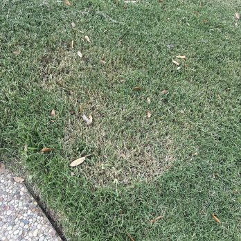 ABC HOME & COMMERCIAL SERVICES - Updated December 2025 - 44 Photos ...