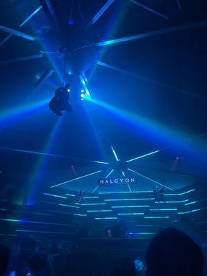 HALCYON - Updated December 2025 - 19 Photos & 108 Reviews - 314 11th St ...