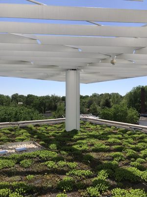 WOODRIDGE LIBRARY - Updated July 2025 - 14 Photos - 1801 Hamlin St NE ...