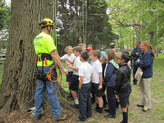 STROBERT TREE SERVICES - Updated October 2025 - 28 Photos & 48 Reviews - 1806 Zebley Rd ...