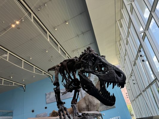 MARYLAND SCIENCE CENTER - Updated November 2025 - 313 Photos & 176 ...