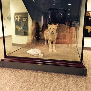 FIELD MUSEUM STORE - Updated January 2026 - 80 Photos & 17 Reviews ...