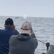 NEXT LEVEL SAILING - 229 Photos & 205 Reviews - 2050 Shelter Island Dr ...