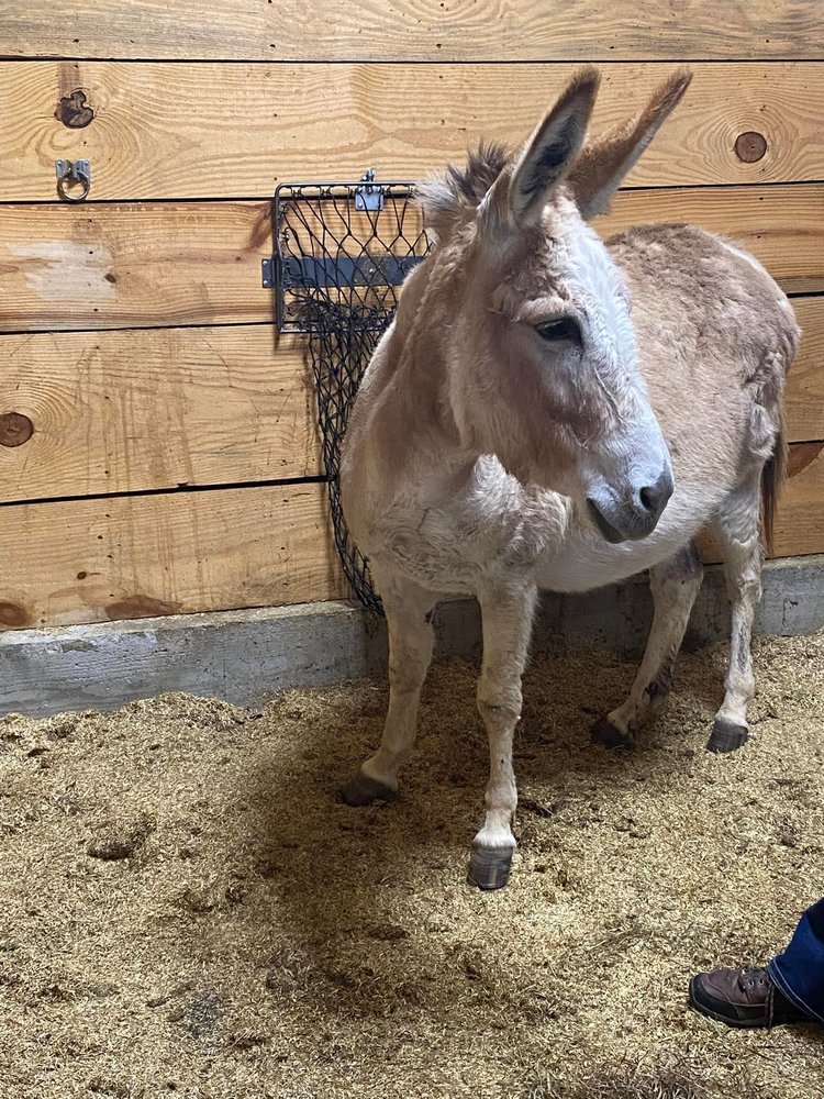 SILVERBIT STABLES - Updated June 2025 - Jacksonville, North Carolina ...