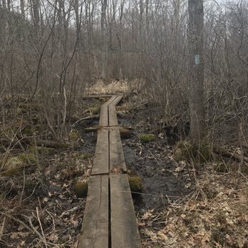 SESSIONS WOODS WILDLIFE MANAGEMENT AREA - Updated May 2026 - 73 Photos ...